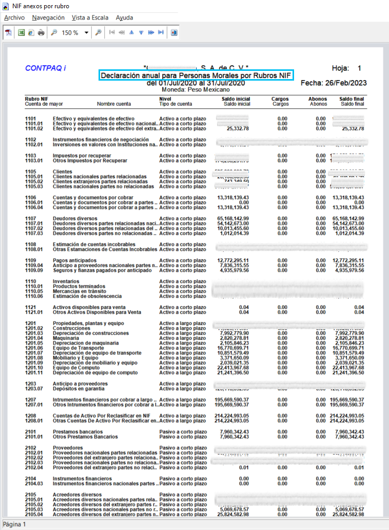 Modificación al reporte NIF Anexos por rubro